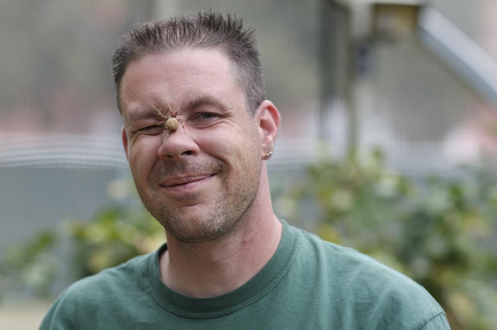 Brent The Bug Guy KarnerBrent The Bug Guy Karner - Spider Pavilion on ...